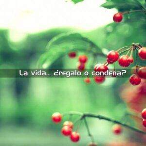 La vida… regalo o condena | Frases Con Imágenes